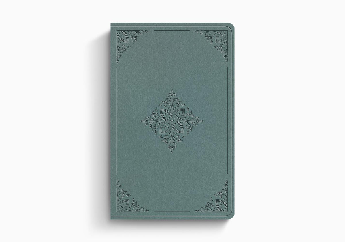 ESV Value Thinline Bible Paris Sky, Trutone * — One Stone Biblical ...