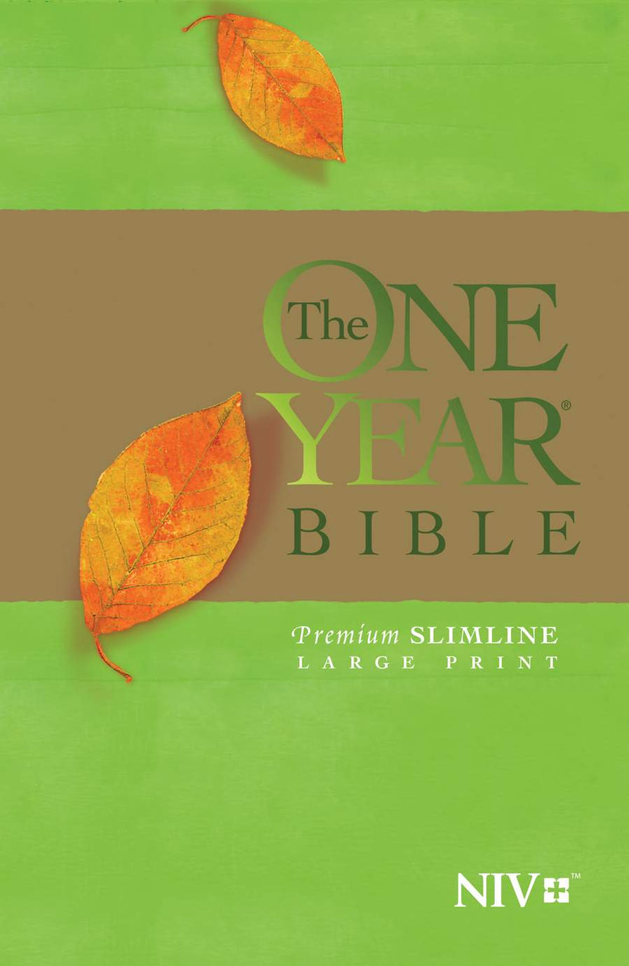 One Year Bibles — One Stone Biblical Resources