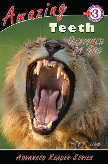 Amazing Teeth Designed by God — One Stone Biblical Resources