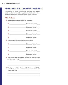 The Big Picture: A Guide to Learning the Bible's Story — One Stone ...