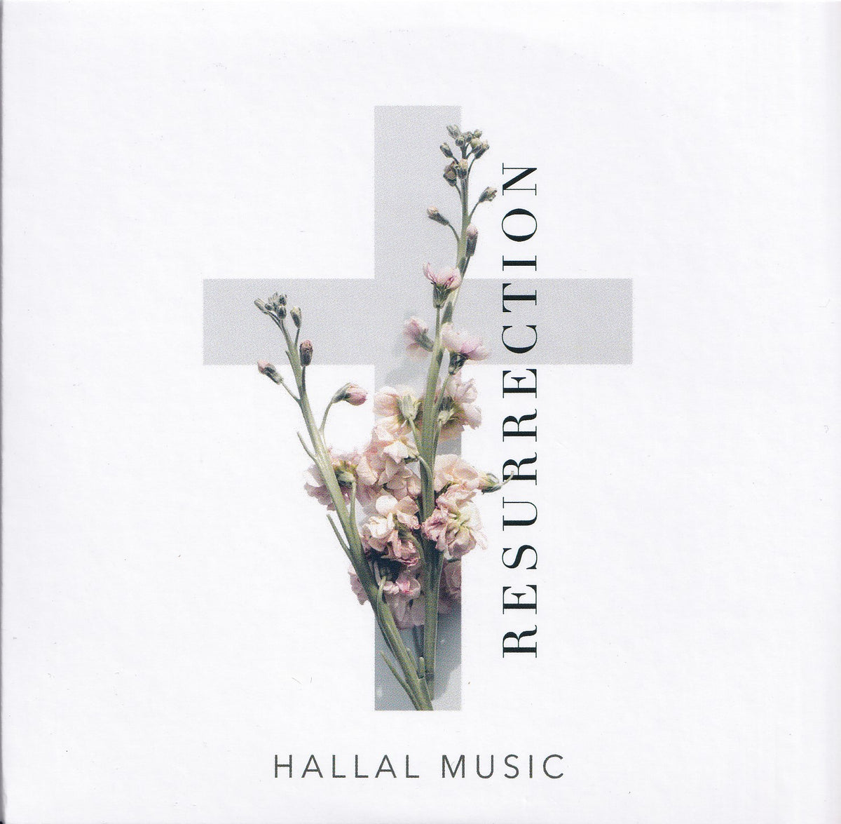 Hallal - Resurrection (Volume 20) CD — One Stone Biblical Resources