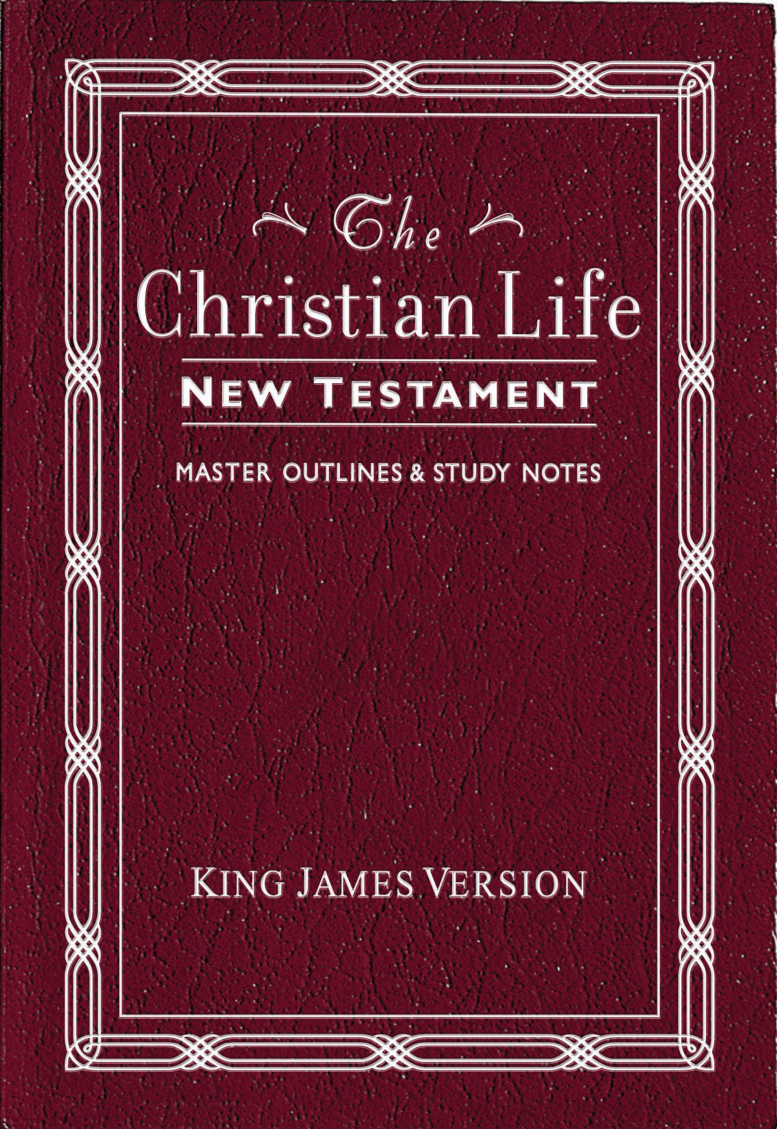 Christian Life New Testament With Master Outlines — One Stone Biblical ...