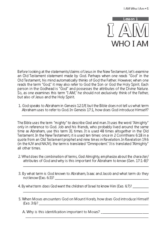 "I Ams" of Jesus in the Book of John — One Stone Biblical Resources