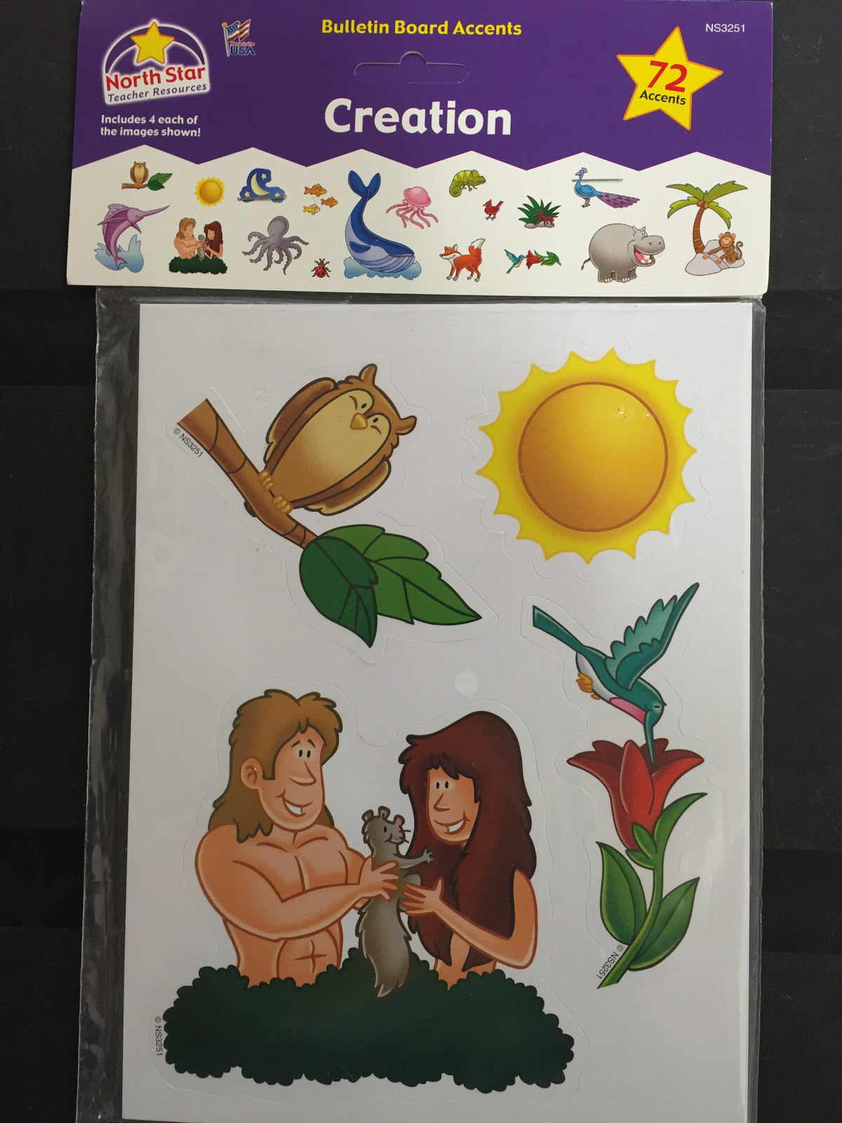 Creation Bulletin Board Accents — One Stone Biblical Resources
