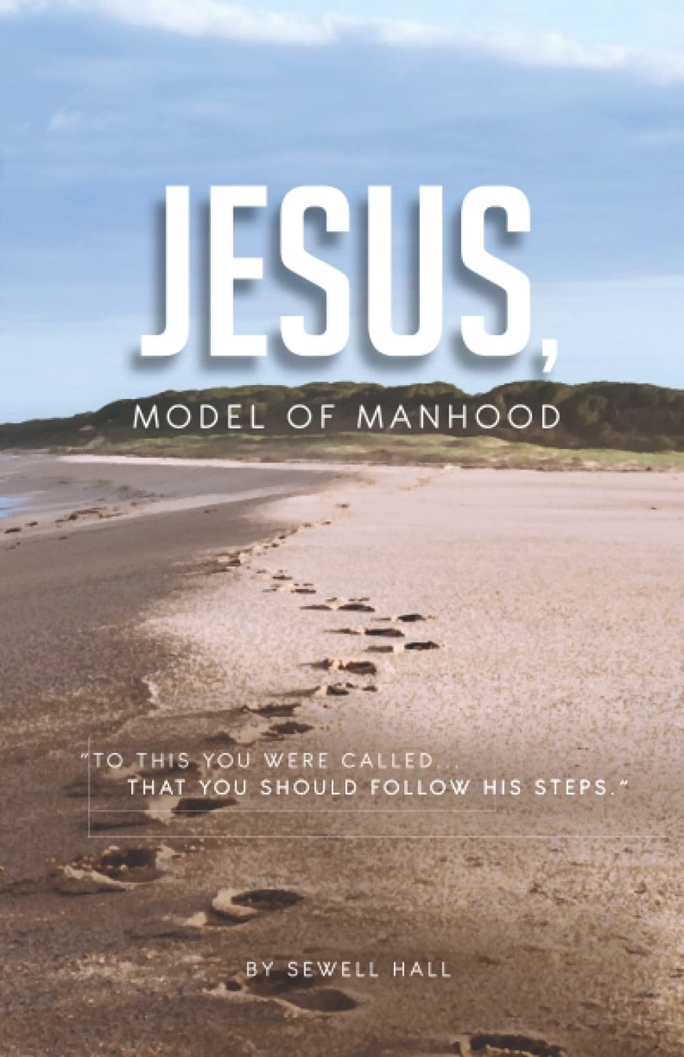 Jesus, Model of Manhood — One Stone Biblical Resources