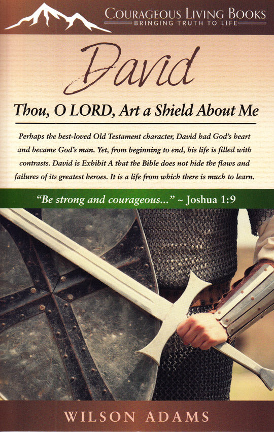 David — One Stone Biblical Resources