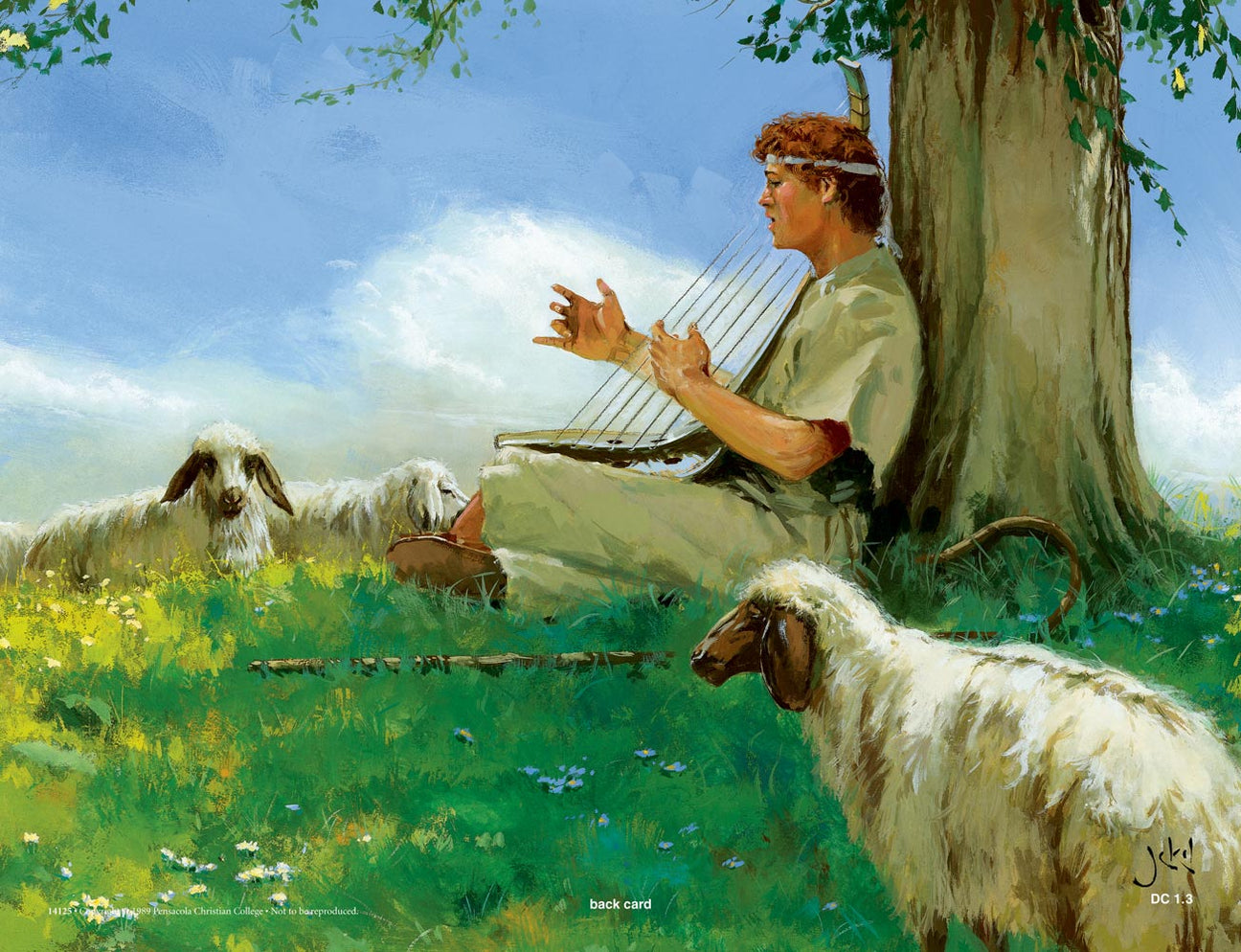 Young David (Life of David Series 1) - Abeka Flash-A-Card — One Stone ...