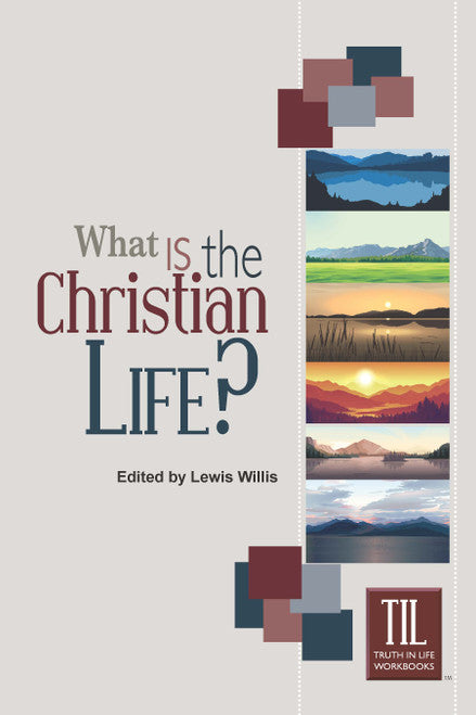 What Is The Christian Life? — One Stone Biblical Resources
