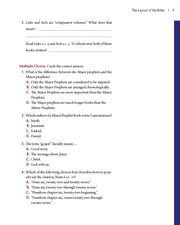 The Big Picture: A Guide to Learning the Bible's Story — One Stone ...